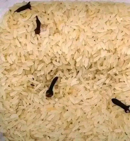 Preventing Weevils A Simple Solution For Your Beans And Rice – Food Lovers