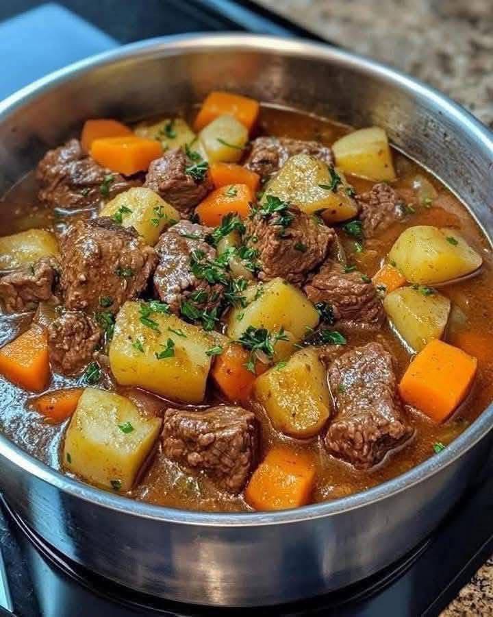 Beef Stew Carne Guisada – Food Lovers